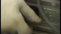 汽车综合性能检测线教学视频02[气缸压力表]汽车综合性能检测线教学...