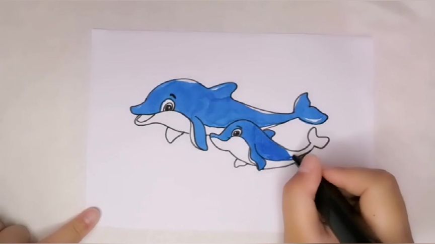 简单几步教你画海豚,不可错过的简笔画教程,喜欢跟着一起来画吧
