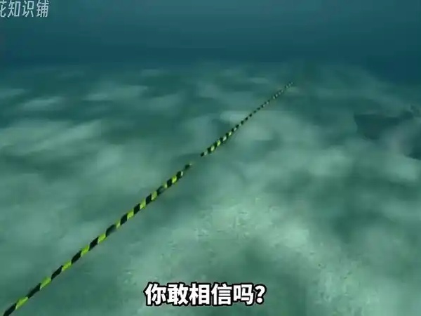 海底光缆怎么铺揭秘海底通信线缆铺设过程