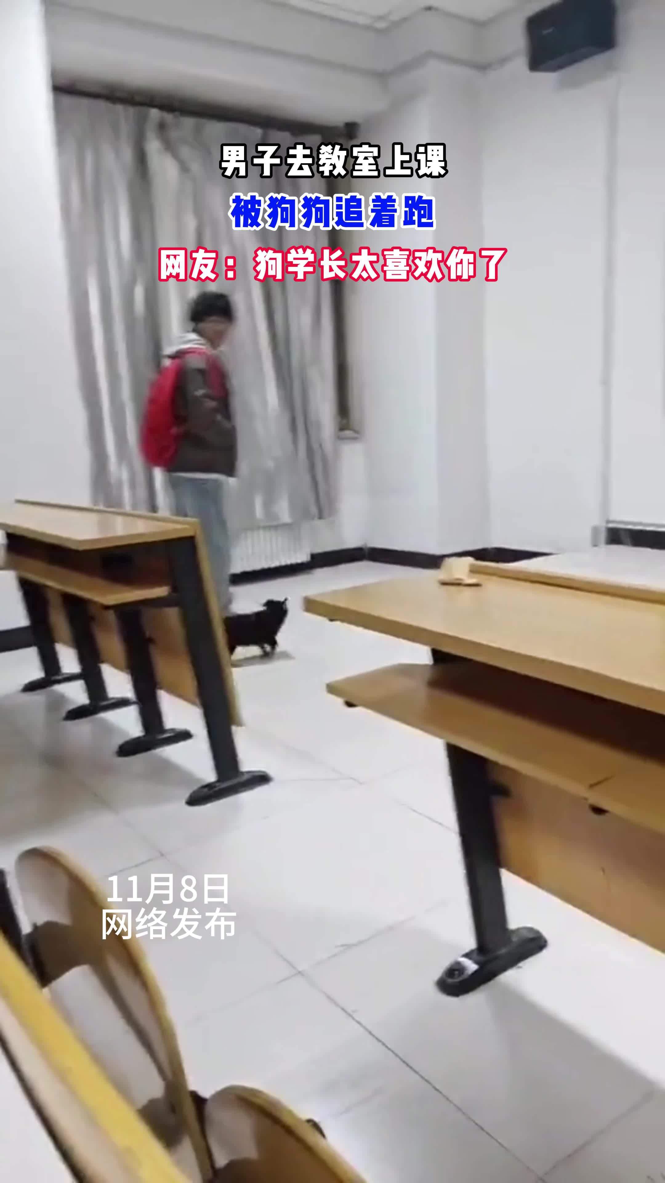 男子去教室上课,被狗狗追着跑