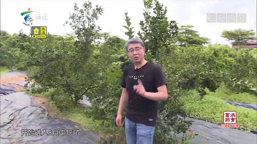 当地怎样通过产学研成果,一条龙输出,提高经济效益?