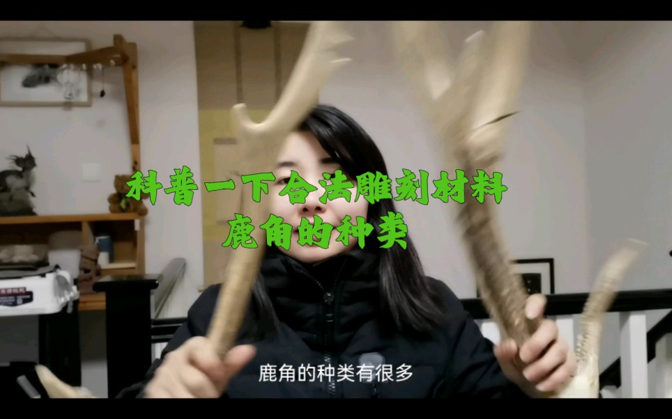 ...水鹿、豚鹿、狍,日本夏夷鹿角,驯鹿。很多鹿角利用率太低,不适合雕刻