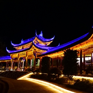 天扬王大腿 
