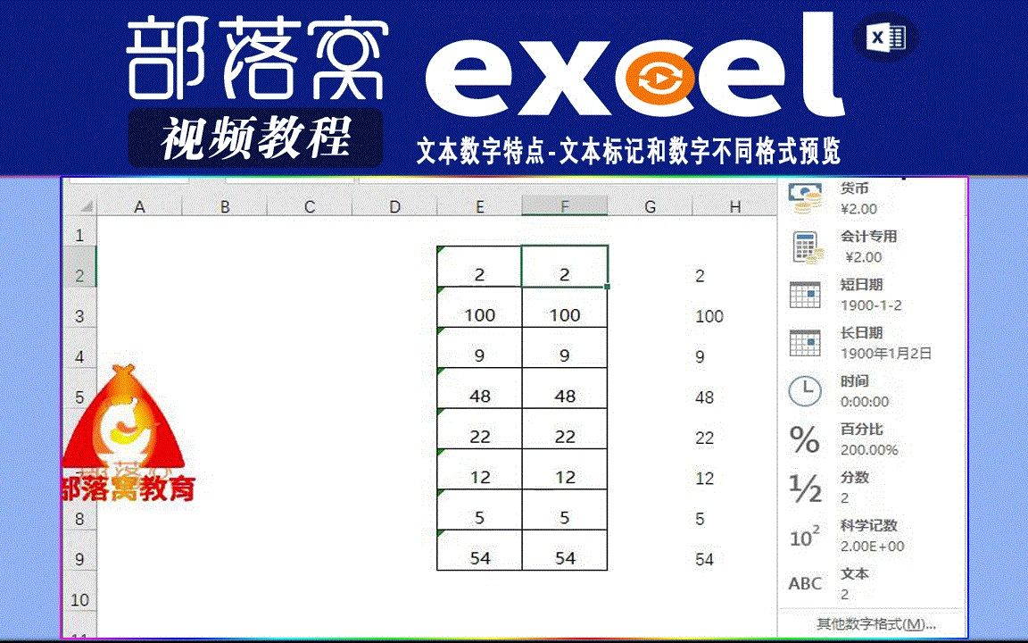 excel文本数字特点视频:文本标记和数字不同格式预览