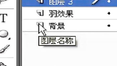呱呱房间215979佛上殿老师12月14日FLASH羽化翻页效果制作刻录下