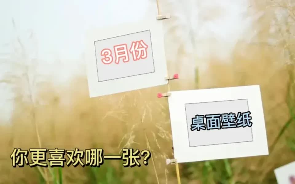 精选2022年3月份日历桌面壁纸,你更喜欢哪一张?来更换电脑壁纸