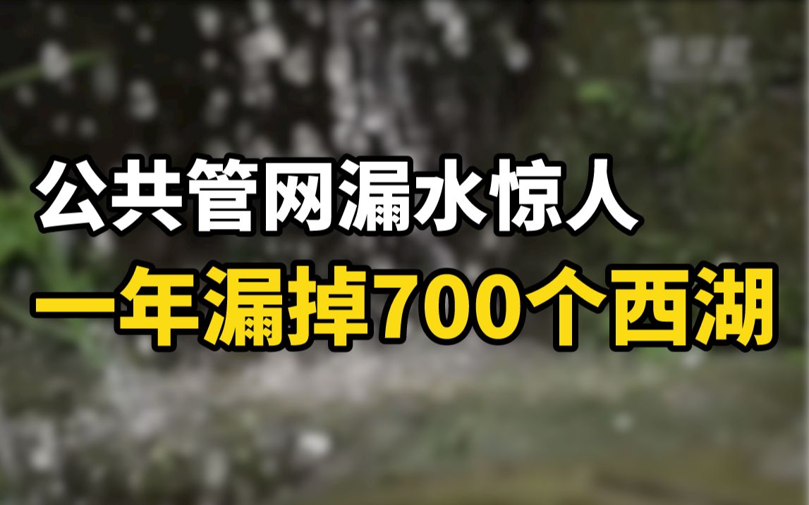 一年漏掉700个西湖,公共供水管网漏损率居高难下何解?