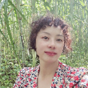 木头井人 