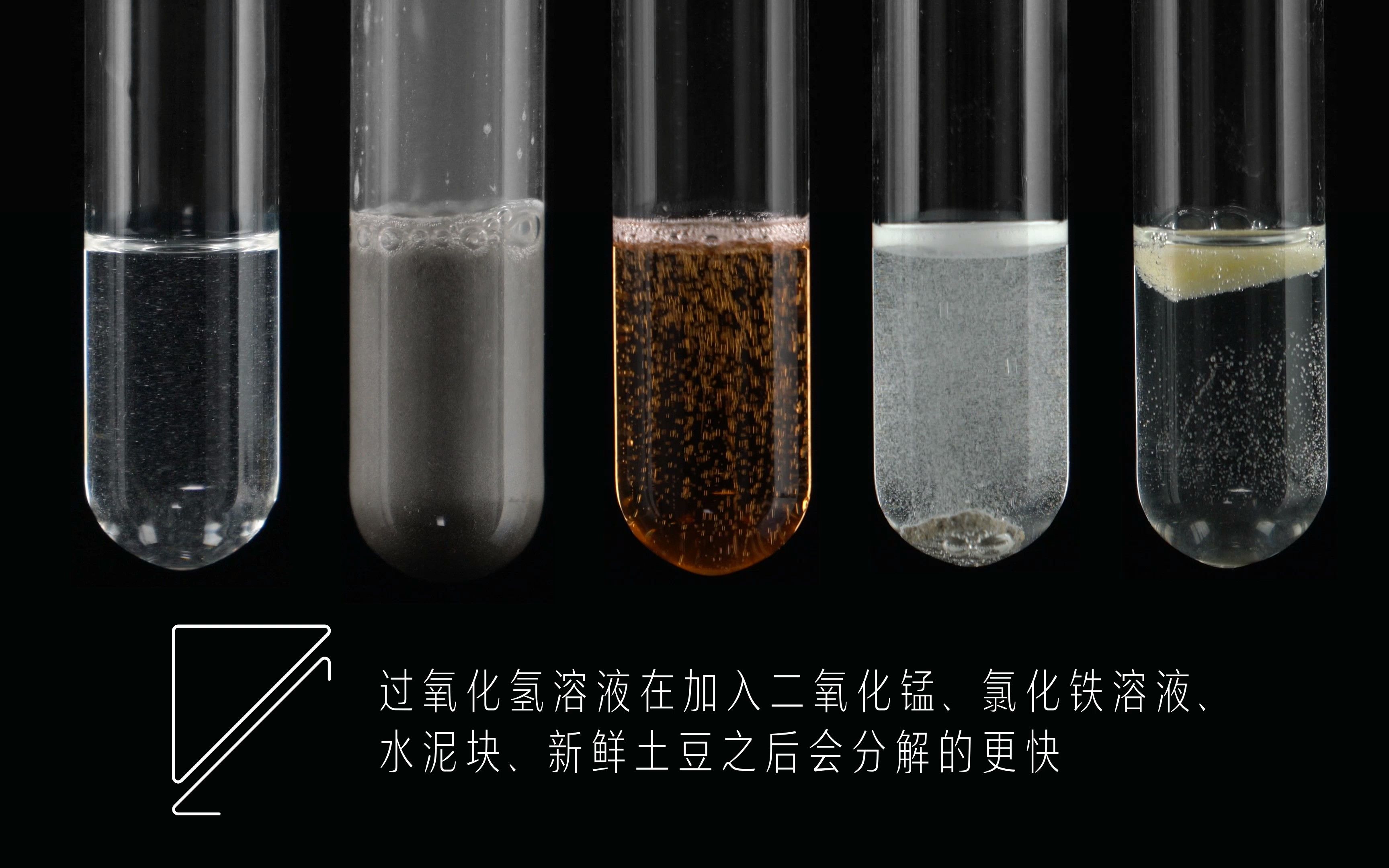 初中化学实验——过氧化氢催化剂的比较