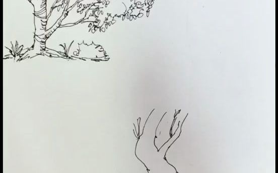 七、零基础篇钢笔画视频教学007