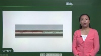 北京空中课堂 初中一年级 第20200904集 初一数学(人教版) 数轴(一)