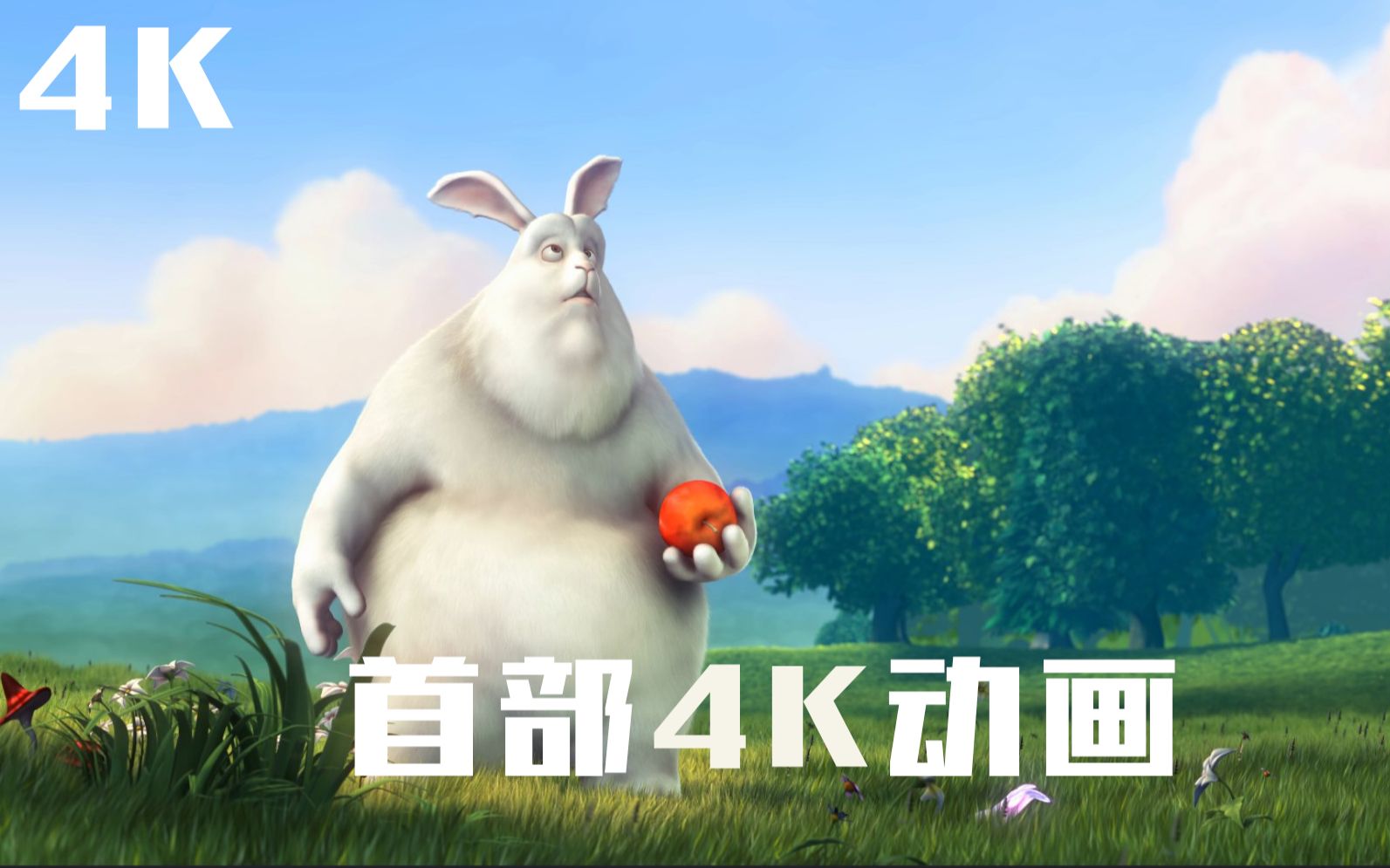 【4K】首部4K动画短片,贱萌搞笑,让人百看不厌(60fps)