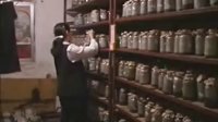 几种食用菌菌种分离技术