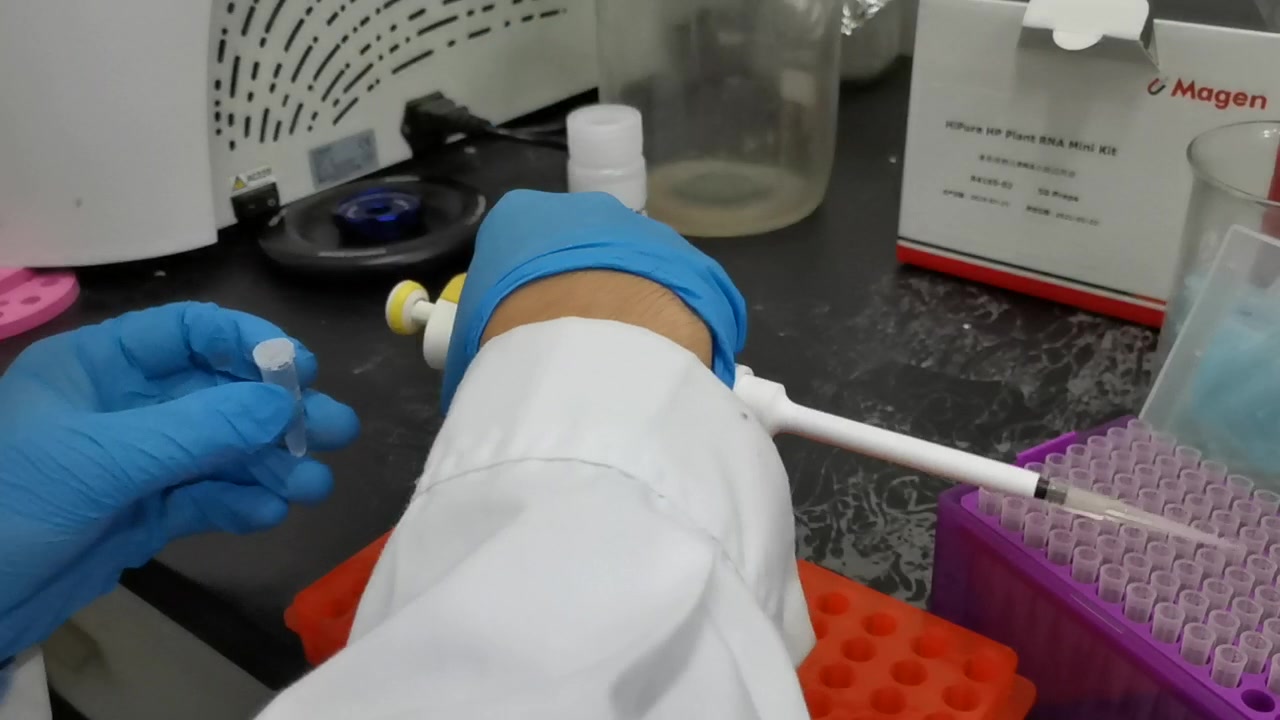 试剂盒提取RNA-实操-16加入DNase混合液