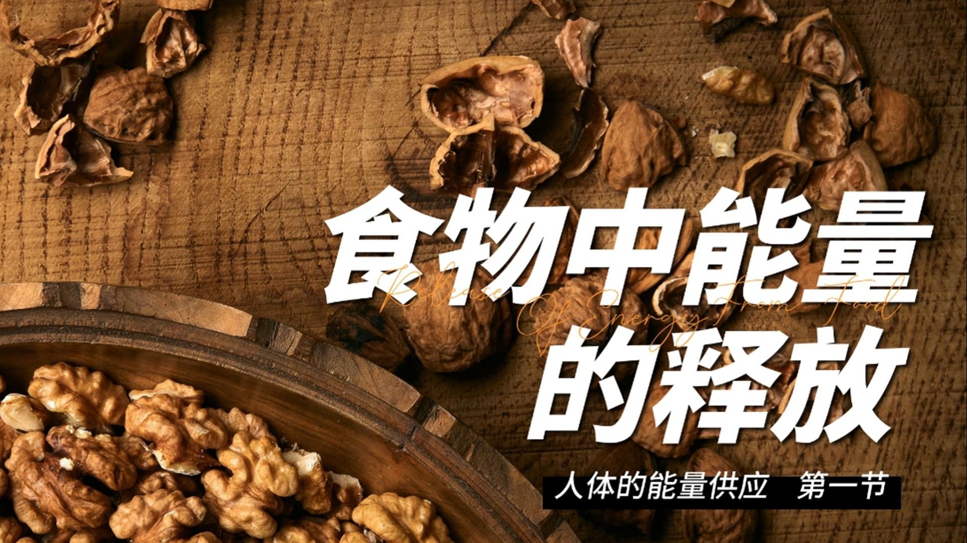 北师大生物七下:食物中能量的释放和呼吸道