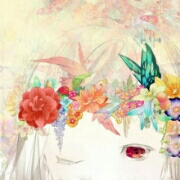 忆夏5566 