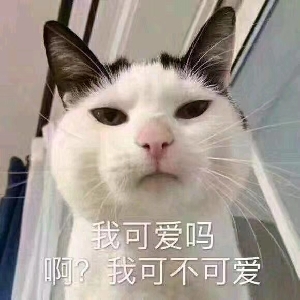 Mu木的三弦儿 