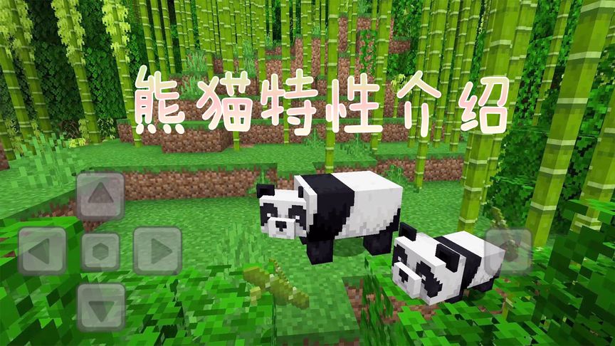 大熊猫特性的分析,大熊猫将来会变成什么样子呢,mc资讯