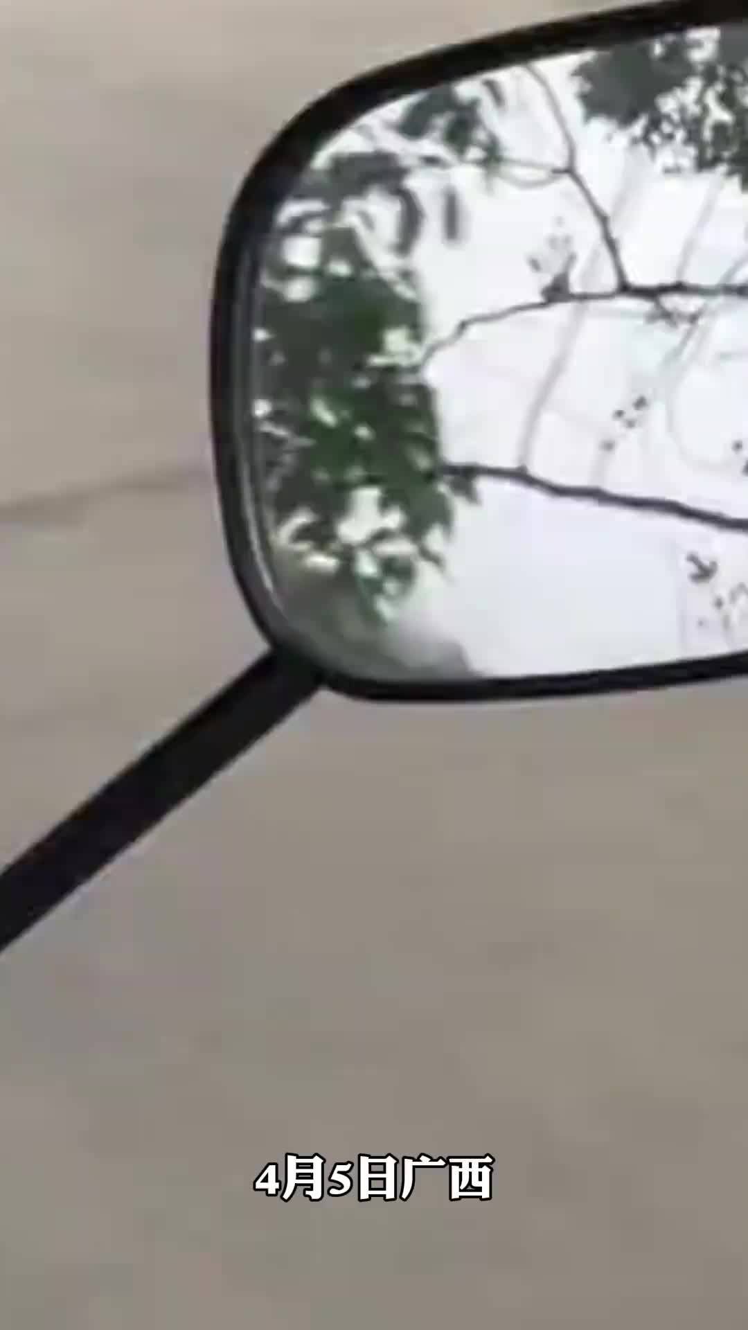 电动车遭遇牛群,靠近小牛时母牛不高兴了,你以为它可爱它认为你