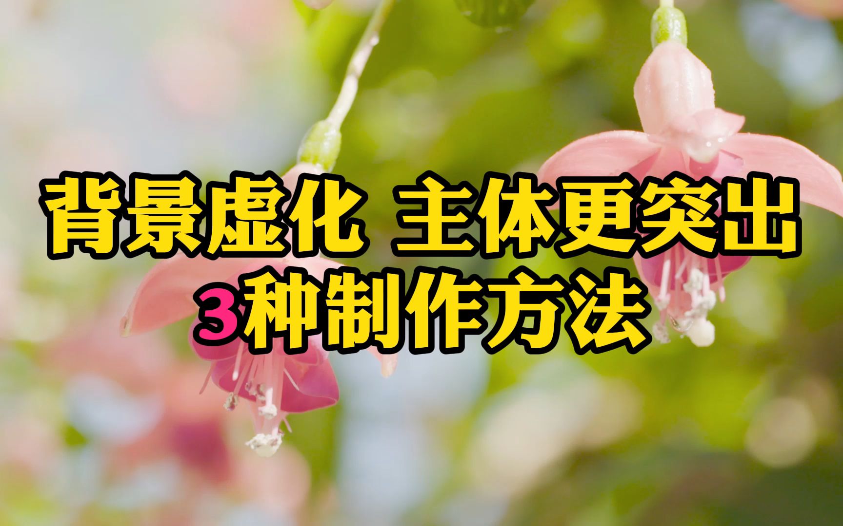 视频背景虚化,让主体更突出的3种制作方法