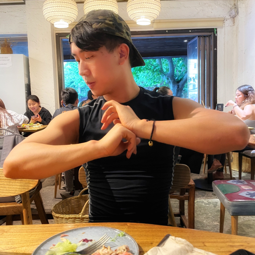 会翻译的黑天鹅 