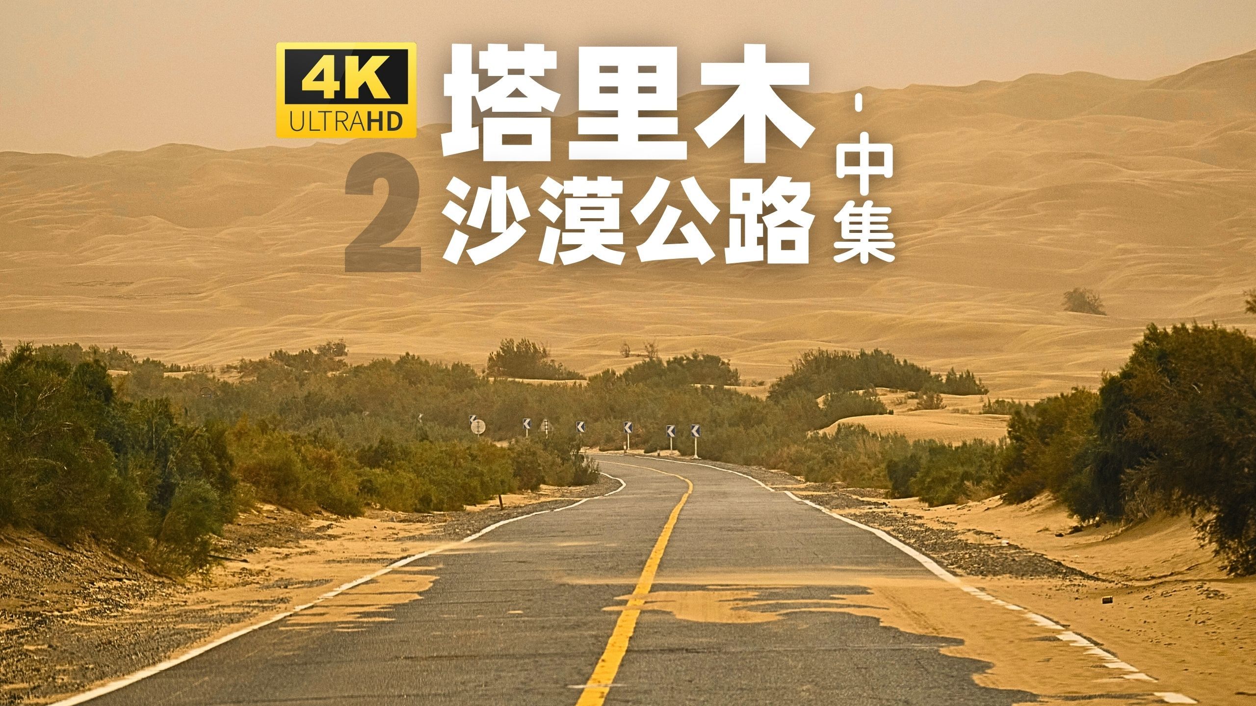 世界最长沙漠公路 - 新疆塔里木沙漠公路G216中集 - 4K 驾车之旅