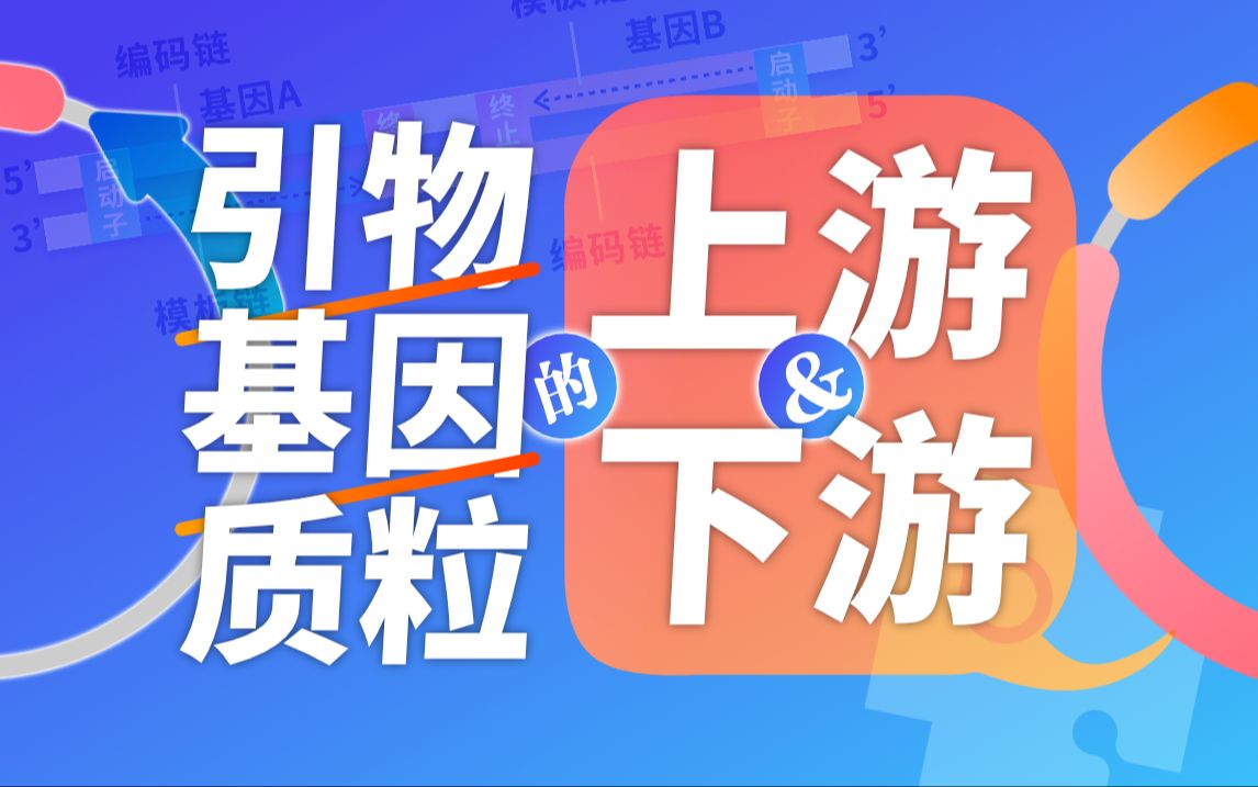 【高中生物易错辨析】引物/基因/质粒的上游与下游&相对位置描述...