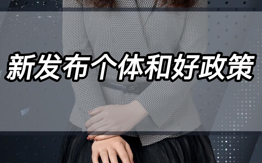 新发布个体户好政策