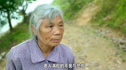 原来肉桂粉是用树皮制作的