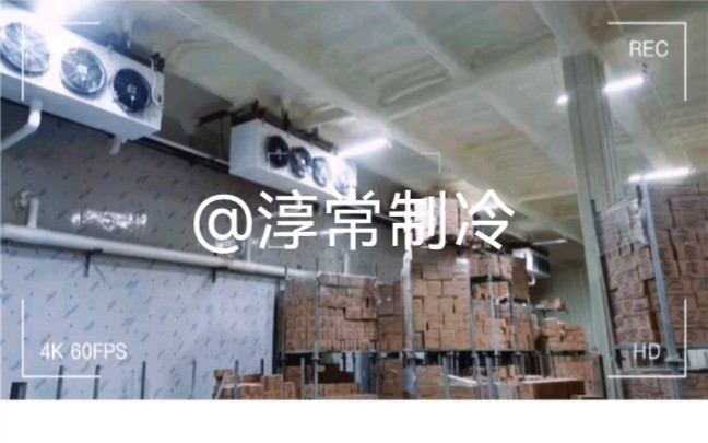 火锅店做个食材保鲜冷库造价?佛山淳常提供费用方案～#火锅店冻品...