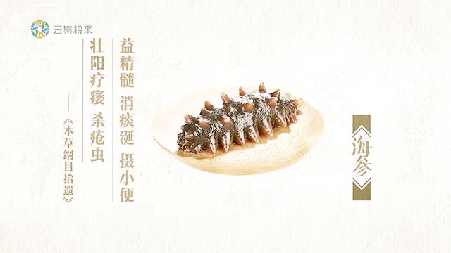 20秒了解海参的功效
