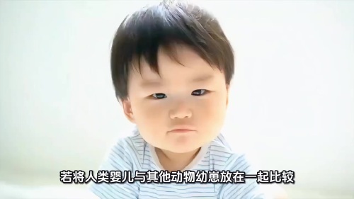 刚出生婴儿这么笨,是为了成就未来大智慧!