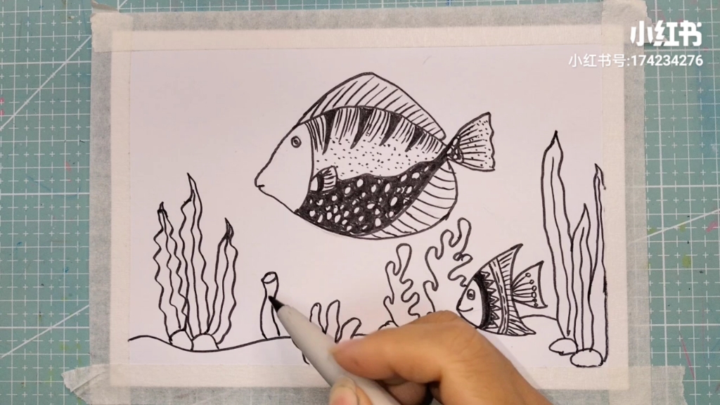 线描小鱼,海底世界简笔画