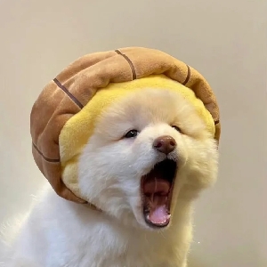 十万根头发的桔昂 