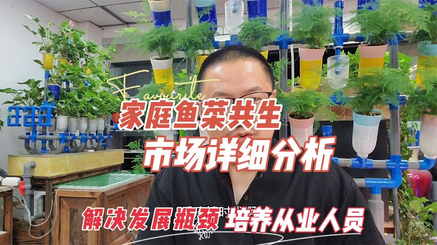 家庭鱼菜共生市场分析,解决发展瓶颈,大力培养从业人员
