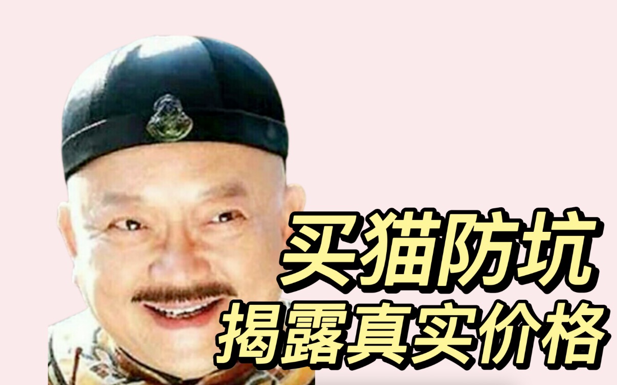 不同品种猫咪价格大公开❗️