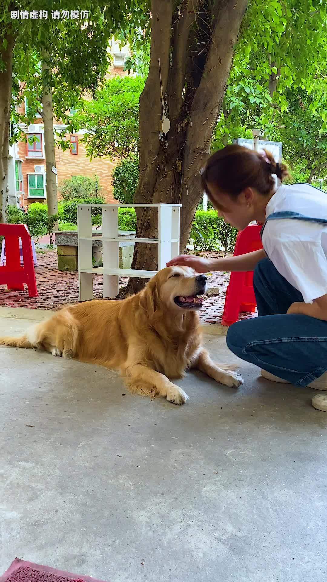 退役搜救犬重新找回当年勇猛,保护了主人!