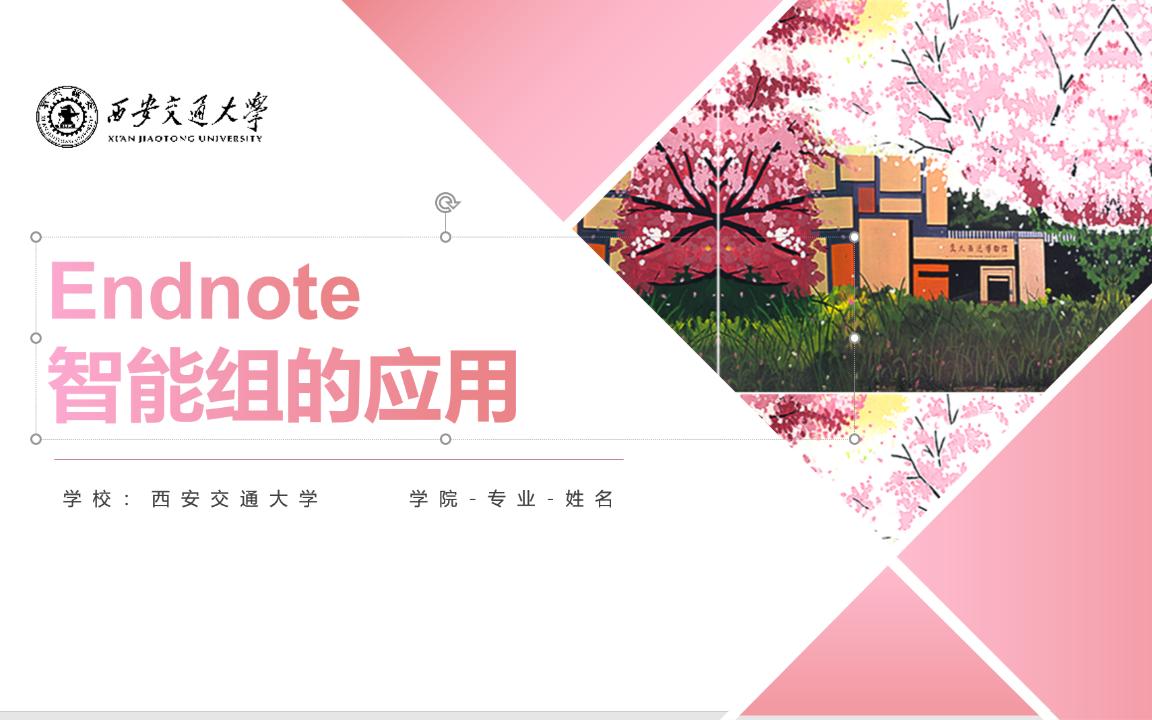 Endnote智能组的使用
