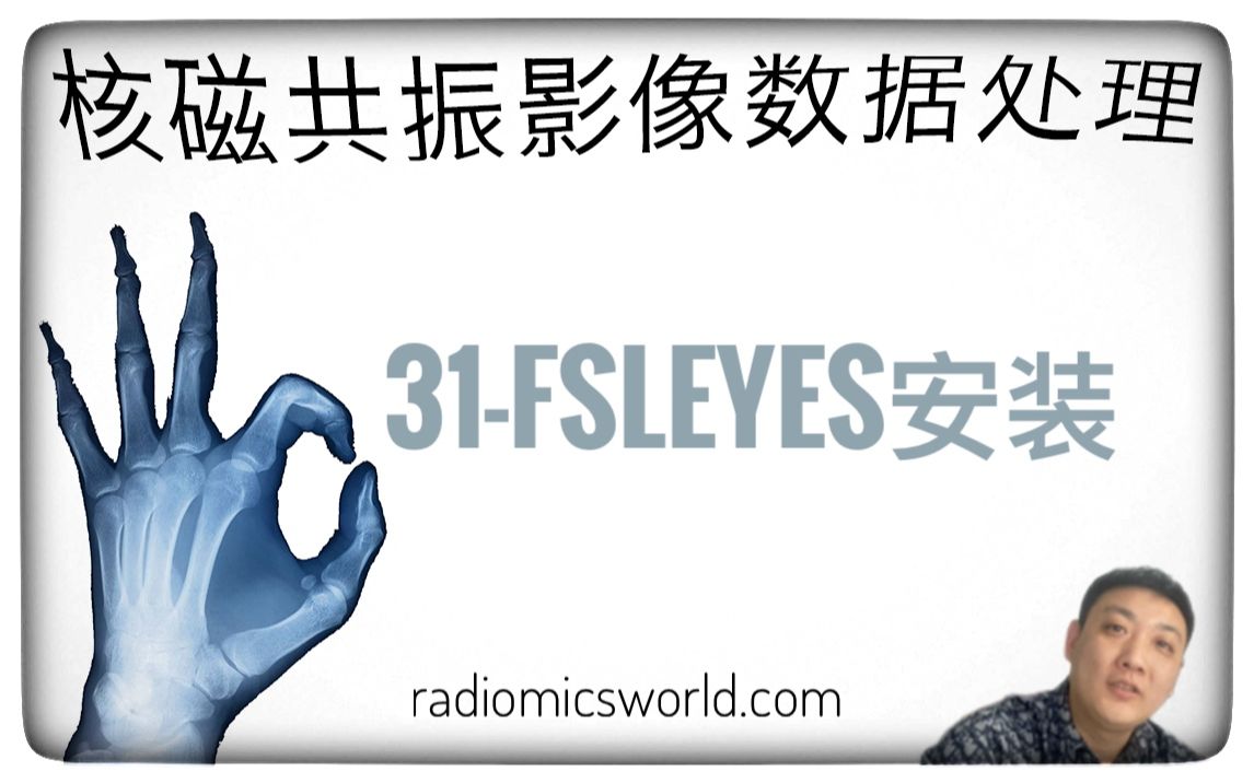 核磁共振影像数据处理 | 医学影像查看,感兴趣区roi勾画软件fsleyes安装...