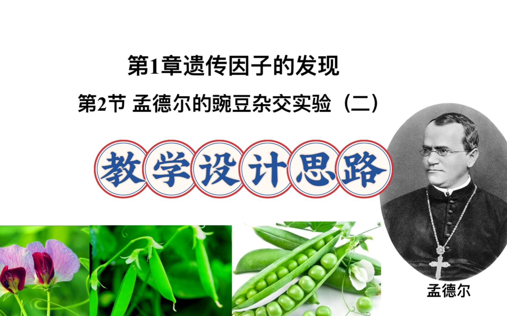 孟德尔豌豆杂交实验(二)教学思路及PPT设计