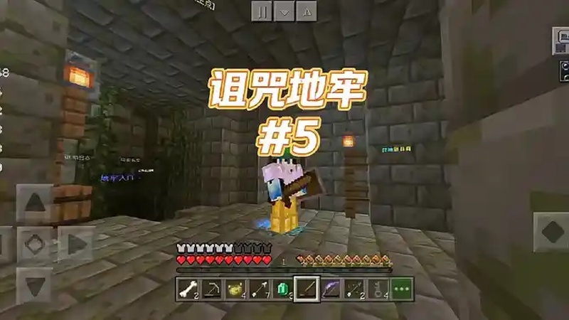 我的世界诅咒地牢第5期