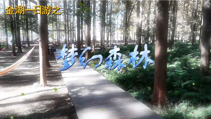 人间仙境——梦幻森林