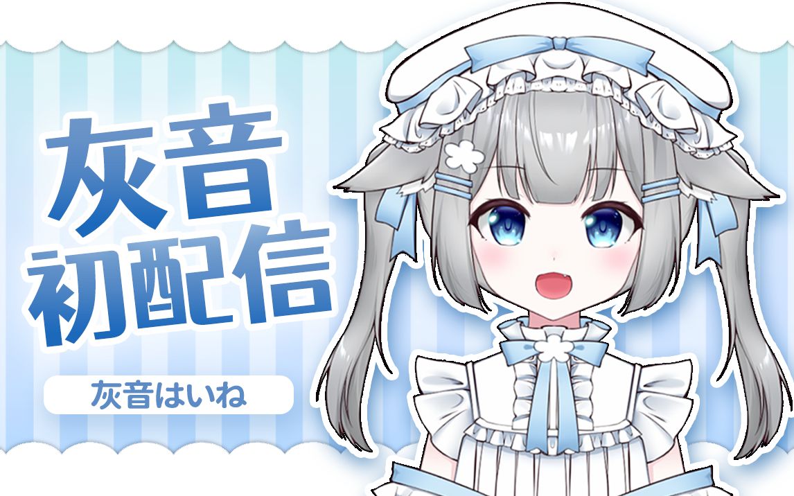 【初配信】事故系冒失小灰猫首播珍贵影像