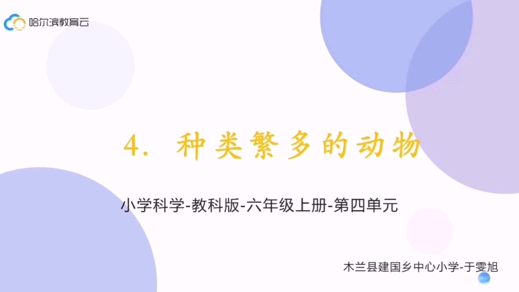 教科版小学科学六年级下种类繁多的动物
