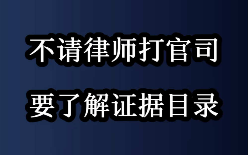 不请律师打官司,要了解证据目录