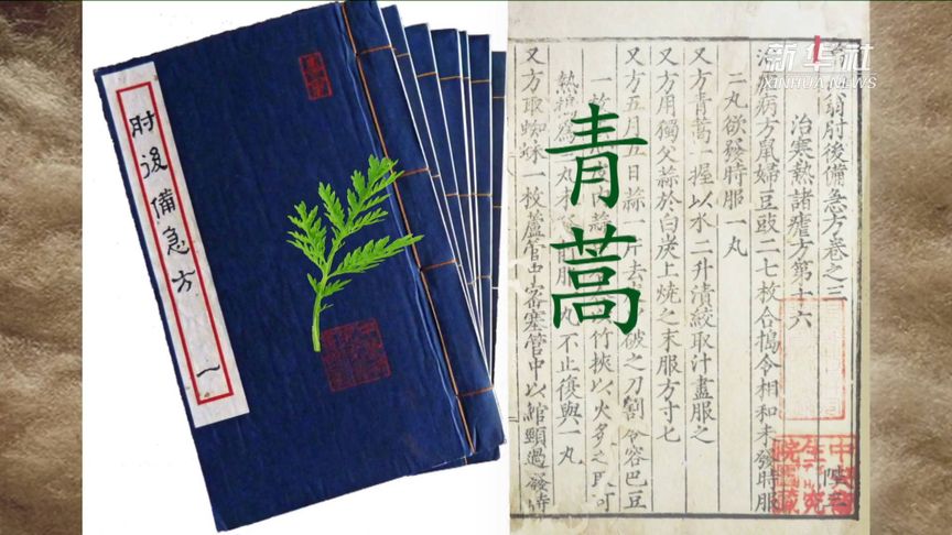 屠呦呦团队“放大招”:“青蒿素抗药性”等研究获新突破