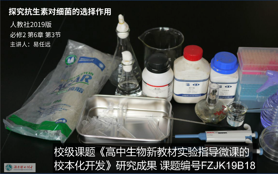 探究抗生素对细菌的选择作用—2019版