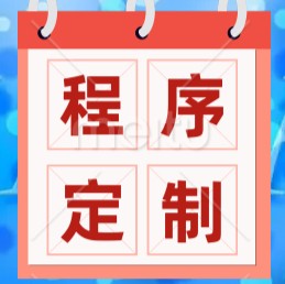 毕业程序代做 