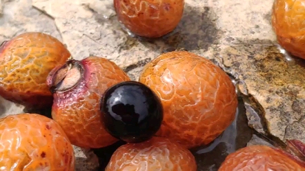 无患子(木患子、鬼见愁)佛珠手串制作