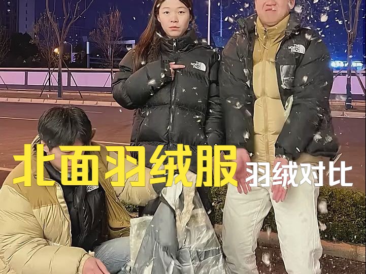 北面羽绒服灰鸭绒 白鸭绒 羽绒丝对比,割开教你区分优质羽绒!